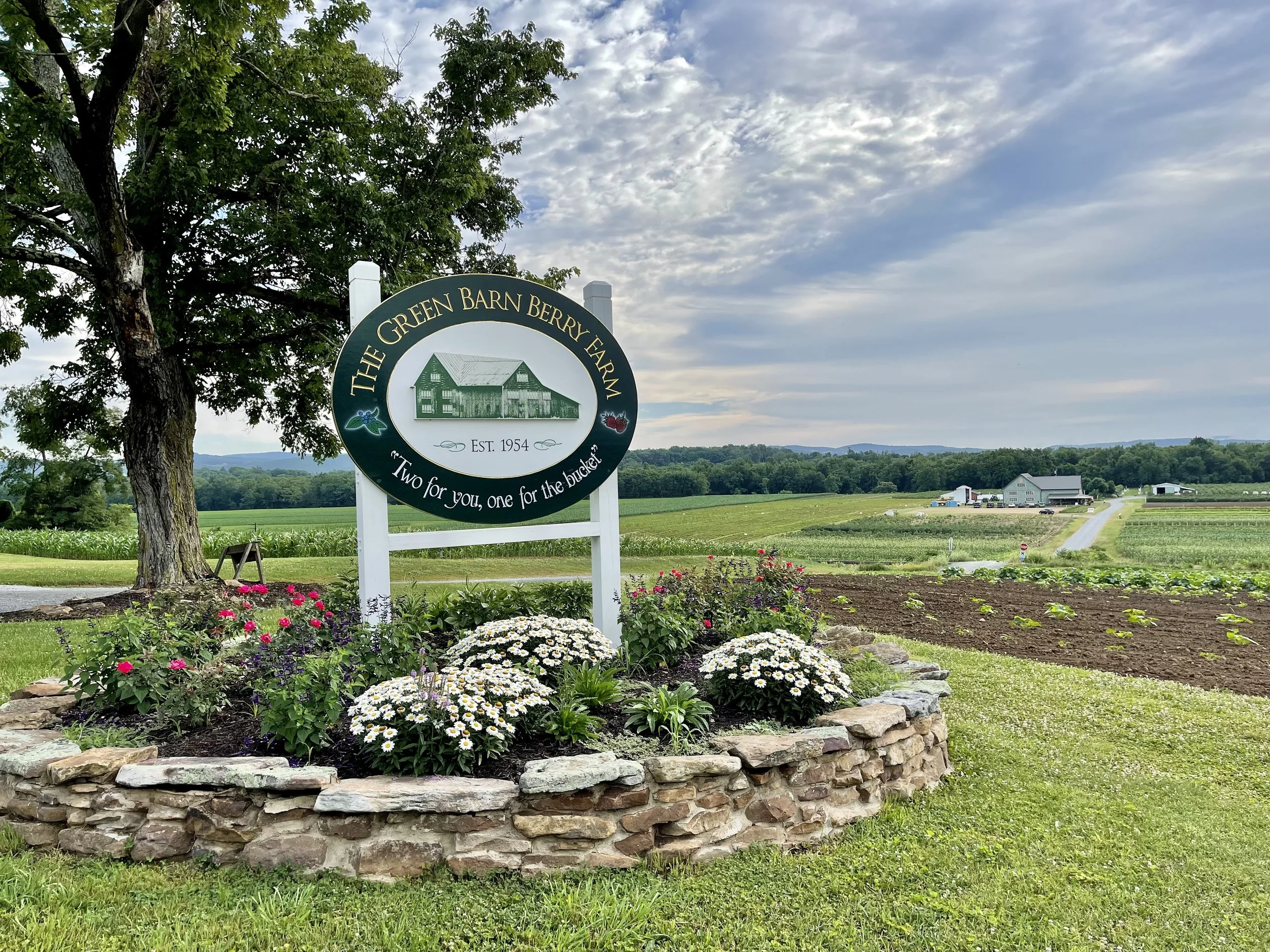 The Green Barn Berry Farm