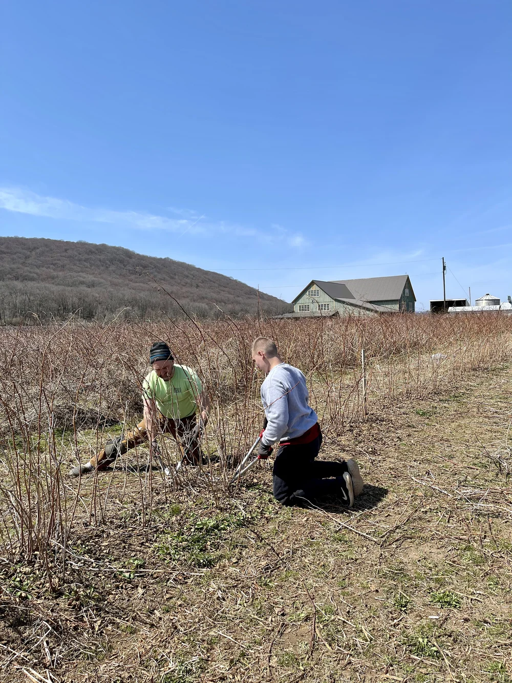 Produce — The Green Barn Berry Farm