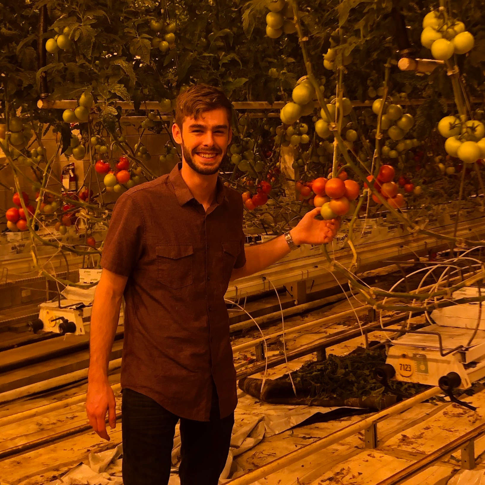 Horticulture lighting industry veteran, Mitch Galton joins Libra Design ...