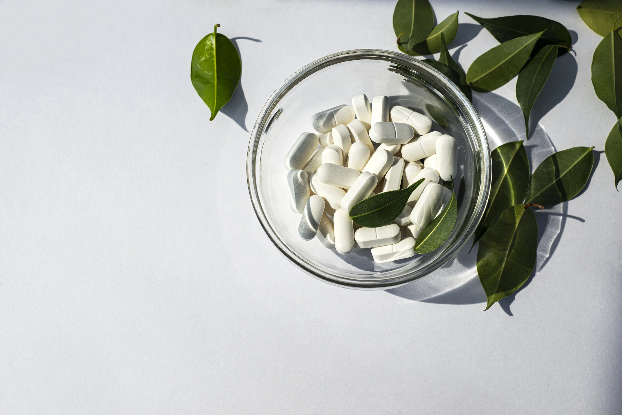 Luusto ja Nivelet — Nivel Balans