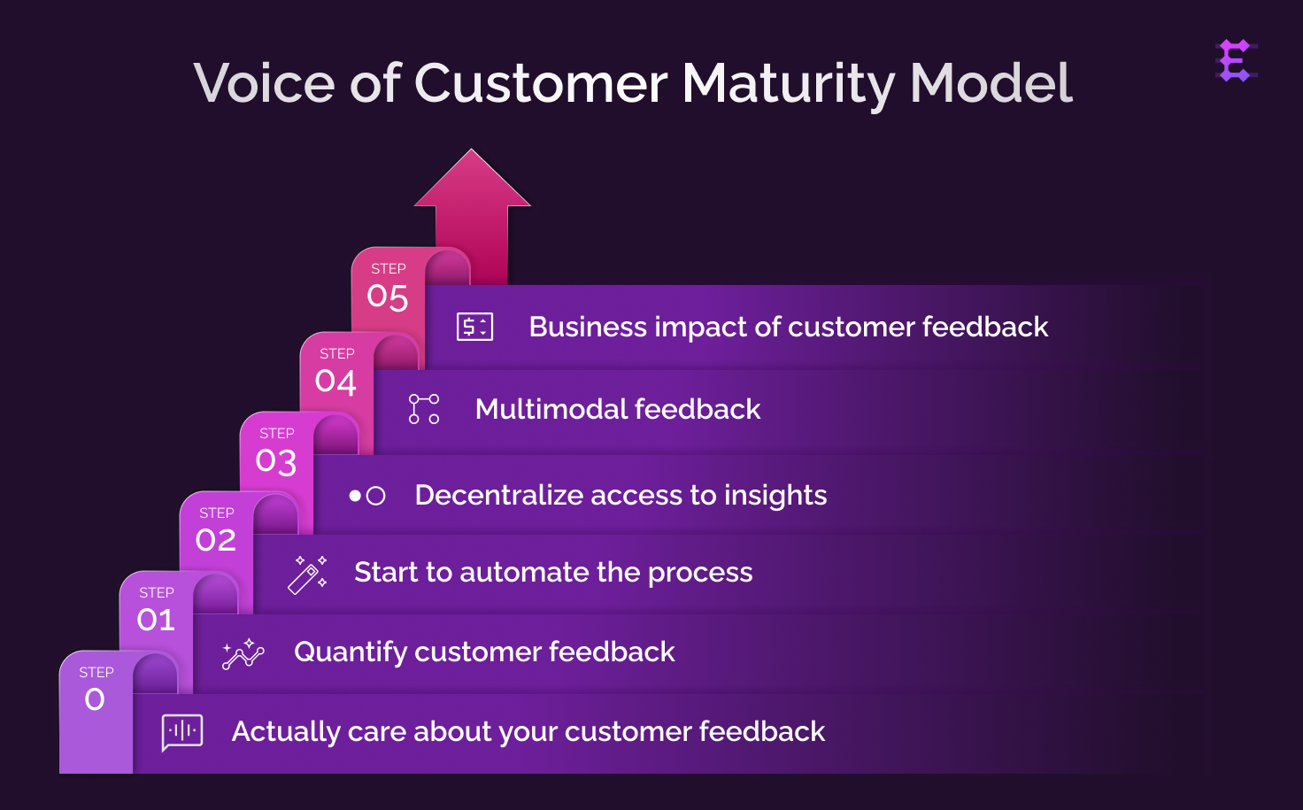 Everything You Need to Know About Voice of Customer Maturity Model with ...