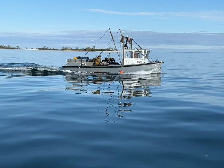 Copps Island Oysters
