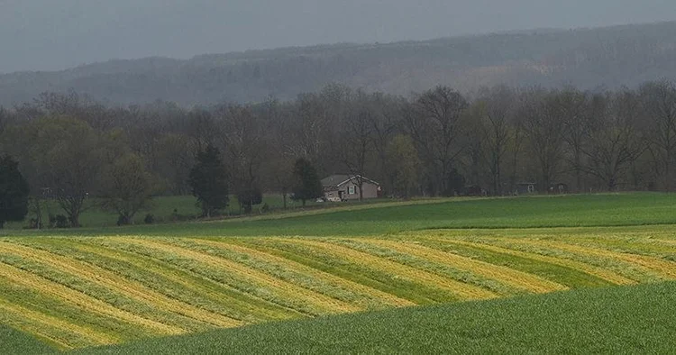Visit the Cross Keys Battlefield — Shenandoah Valley Battlefields ...