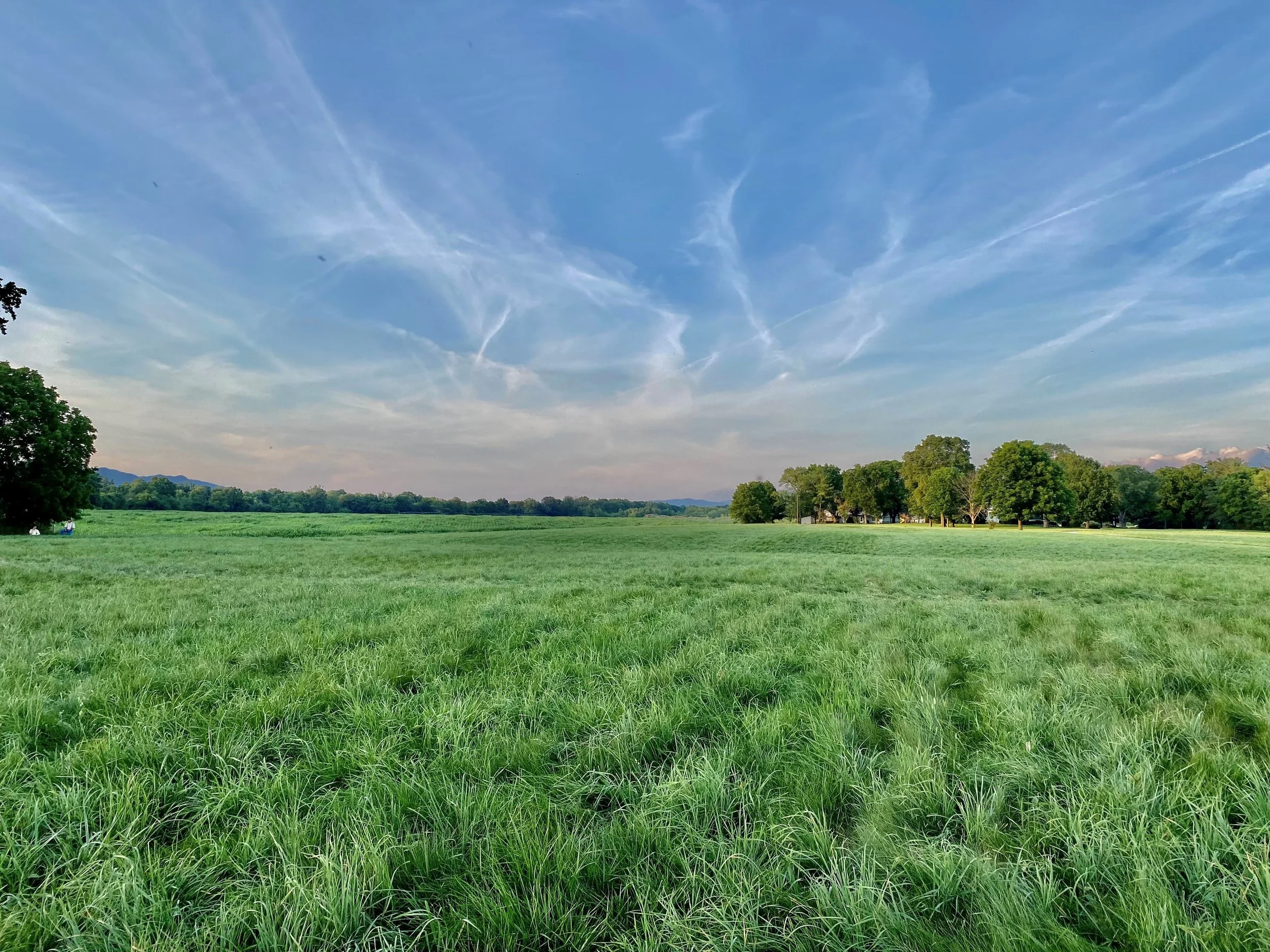 Visit the Port Republic Battlefield — Shenandoah Valley Battlefields ...