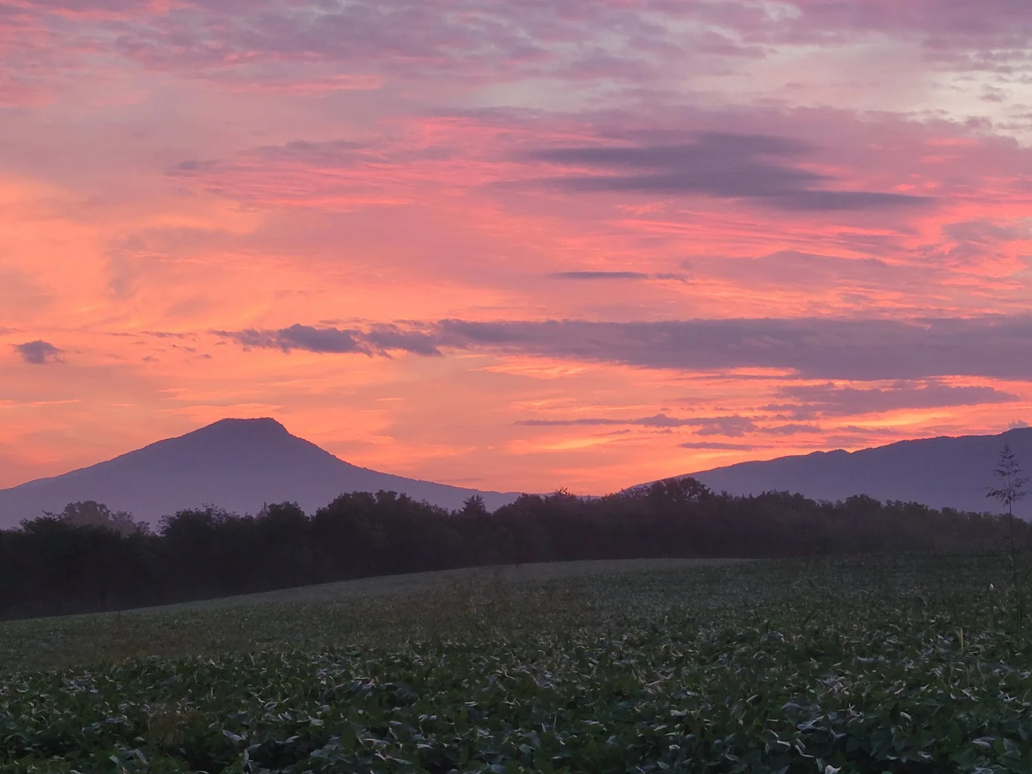 Long Road to Freedom — Shenandoah Valley Battlefields National Historic ...