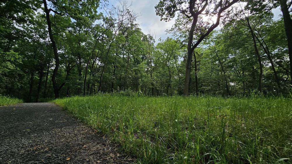 Hoke's Run — Shenandoah Valley Battlefields National Historic District