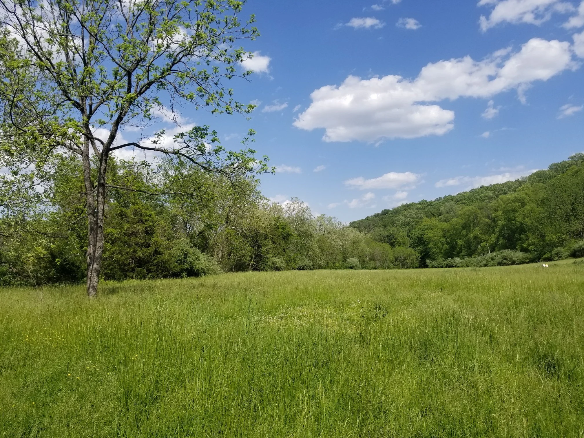 Shenandoah Valley Battlefields National Historic District