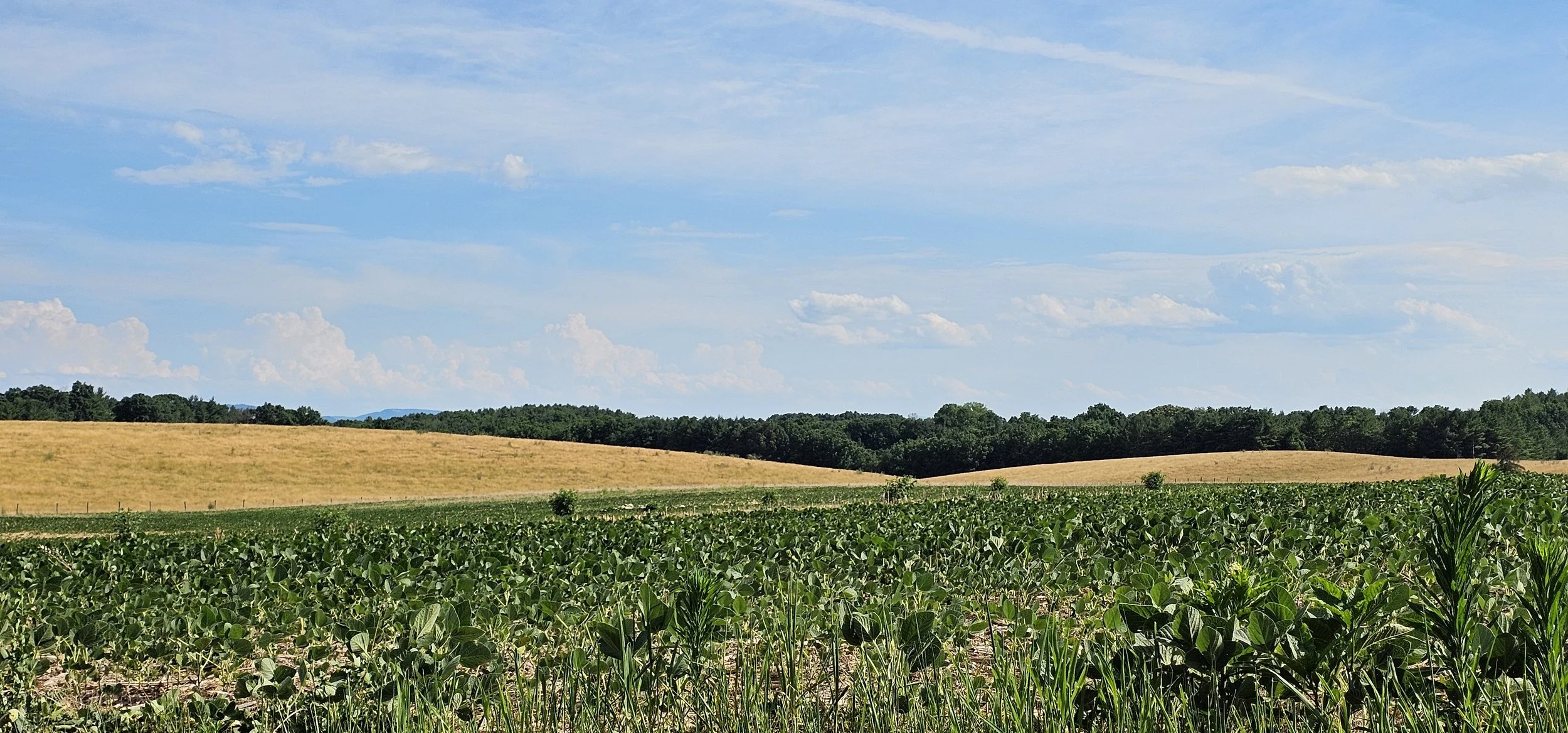 Shenandoah Valley Battlefields National Historic District