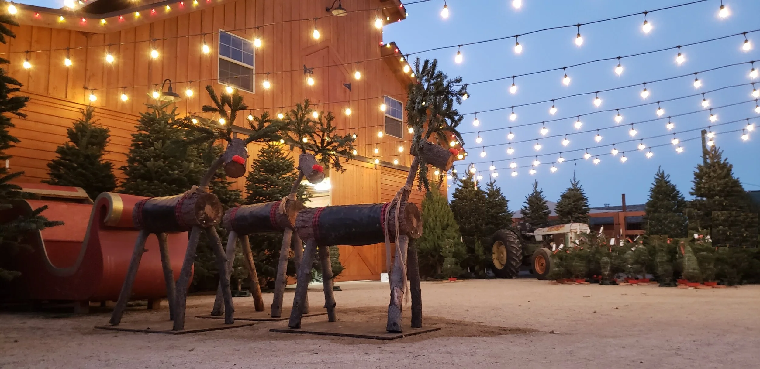 GALLERY — Farmakis Farms