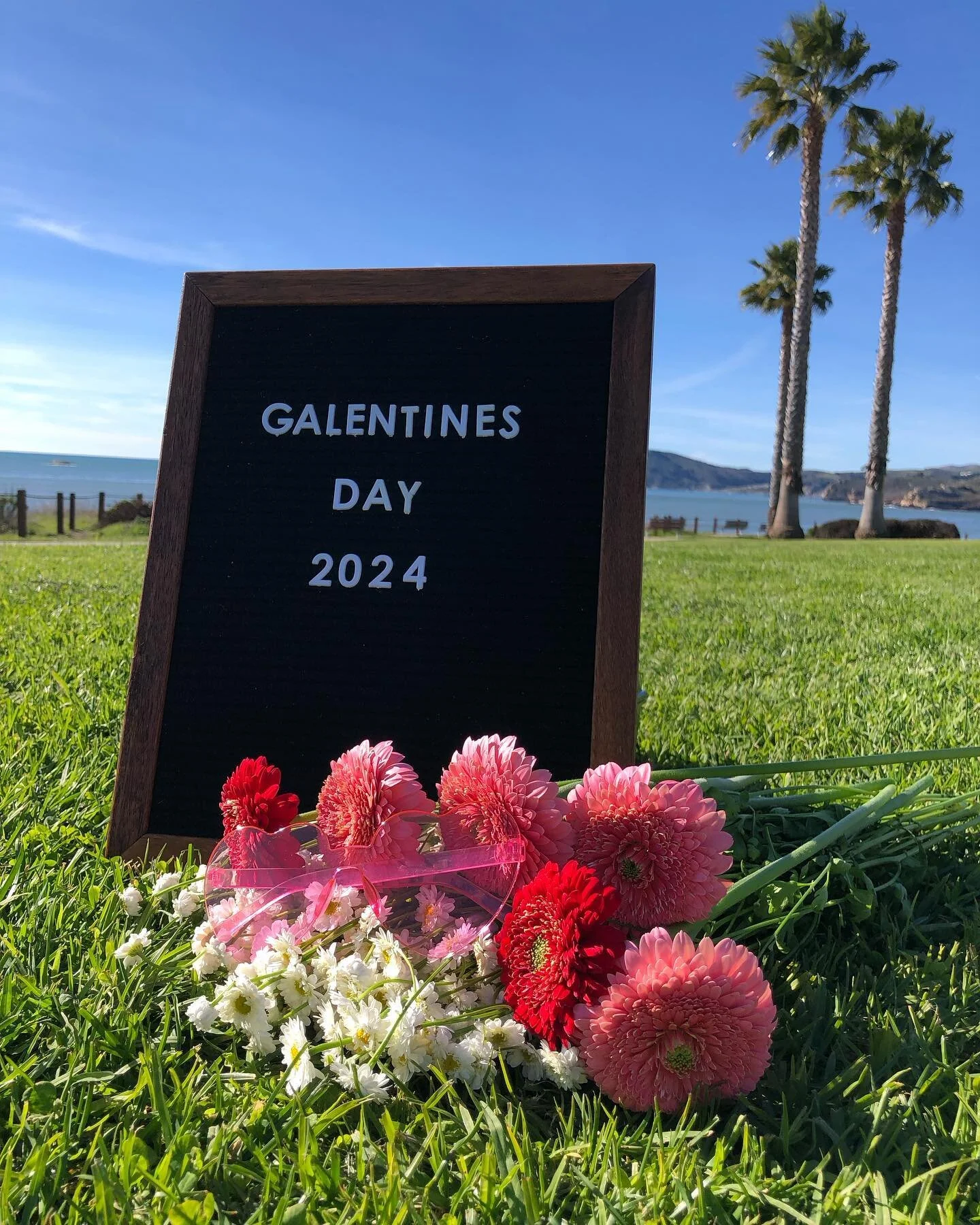 Luxury Picnics and Surprise Proposals on the California Central Coast