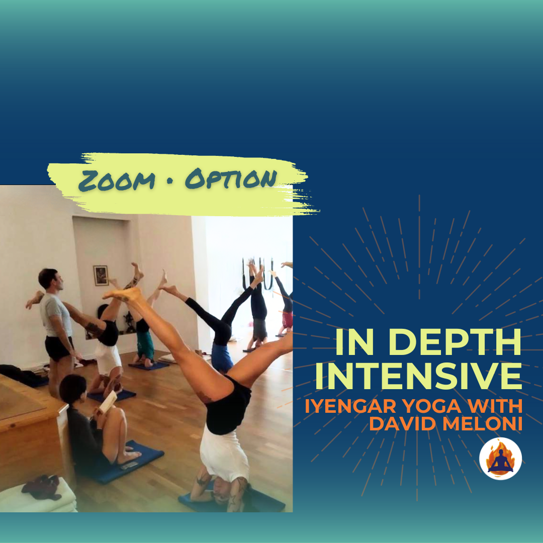 David Meloni IYENGAR YOGA - David Meloni IYENGAR YOGA🌟 Explore o ...