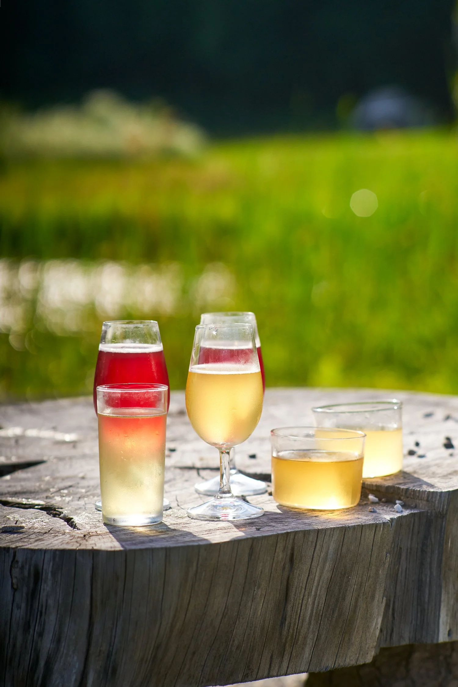 WEBSHOP — Absolem Cider Company