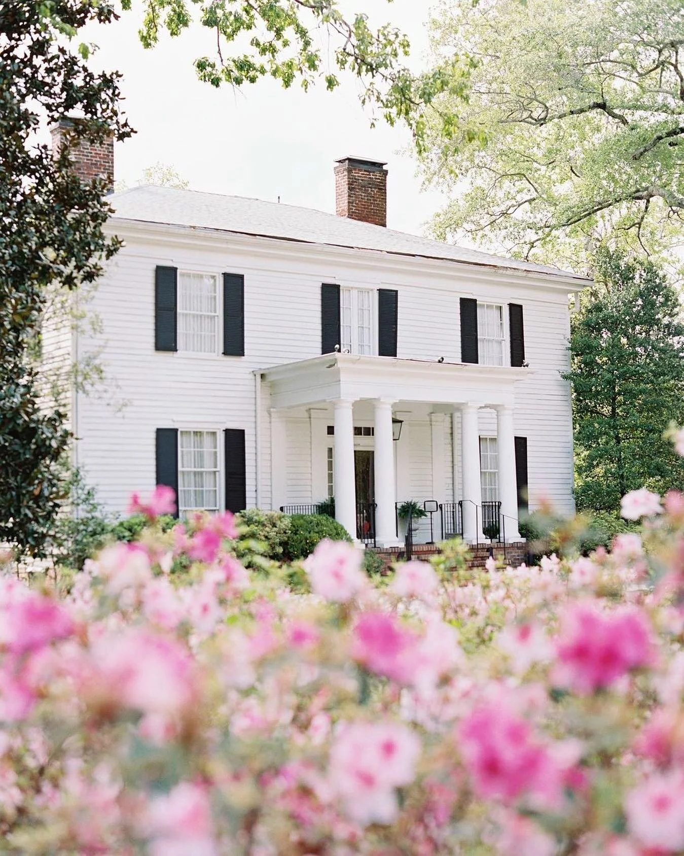 Primrose Cottage — Magic Moments — Magic Moments