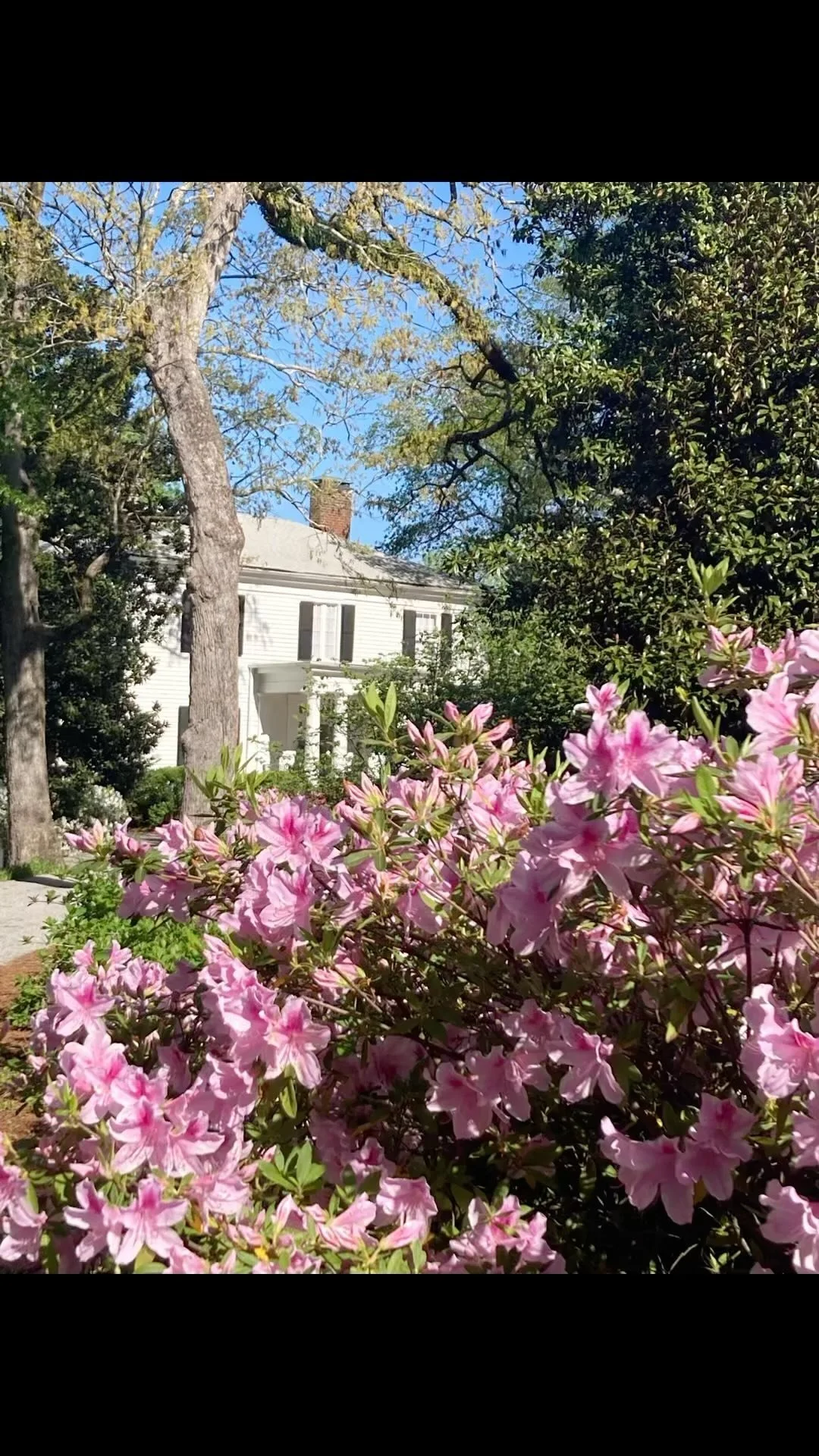 Primrose Cottage — Magic Moments — Magic Moments