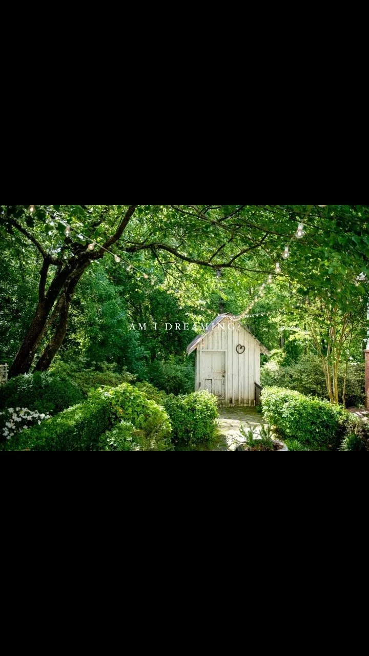 Primrose Cottage — Magic Moments — Magic Moments