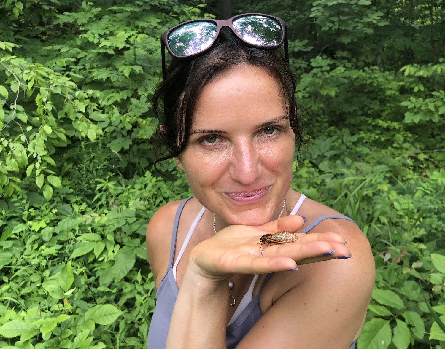 Kristin Klein — Hillstar Nature