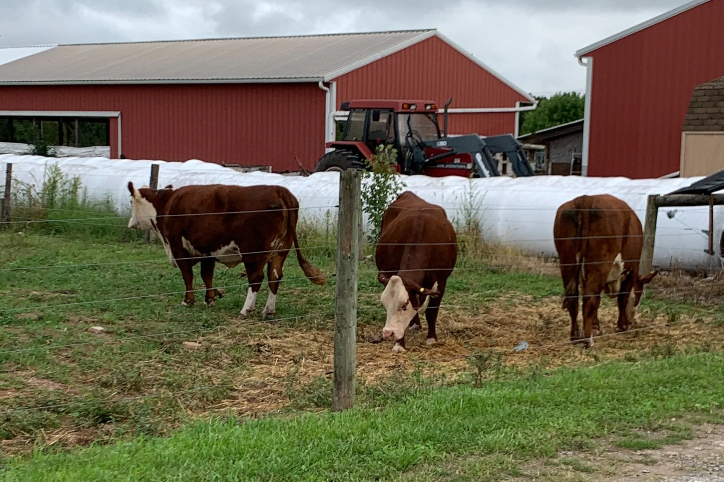 Country Vittles from Critter Hill Farm