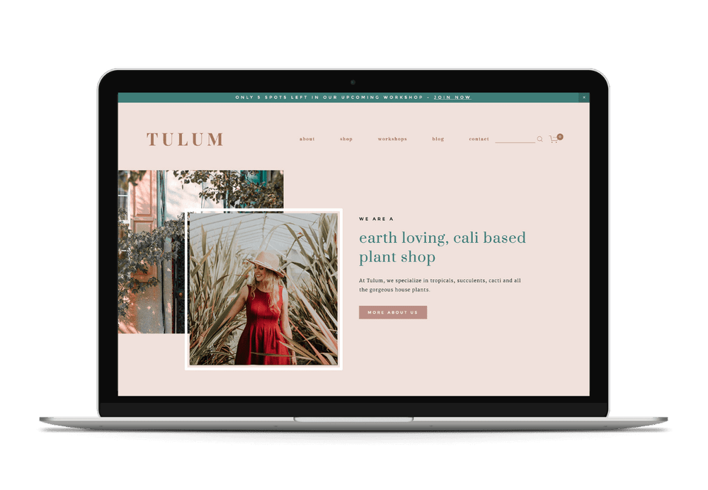 Tulum Squarespace Website Template — The Coast Kit