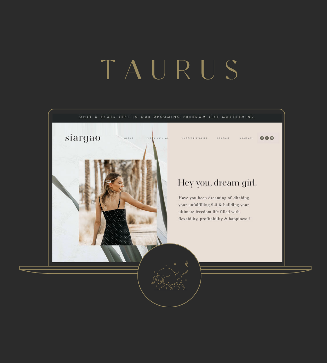 Our Website Templates as Zodiac Signs — The Coast Kit