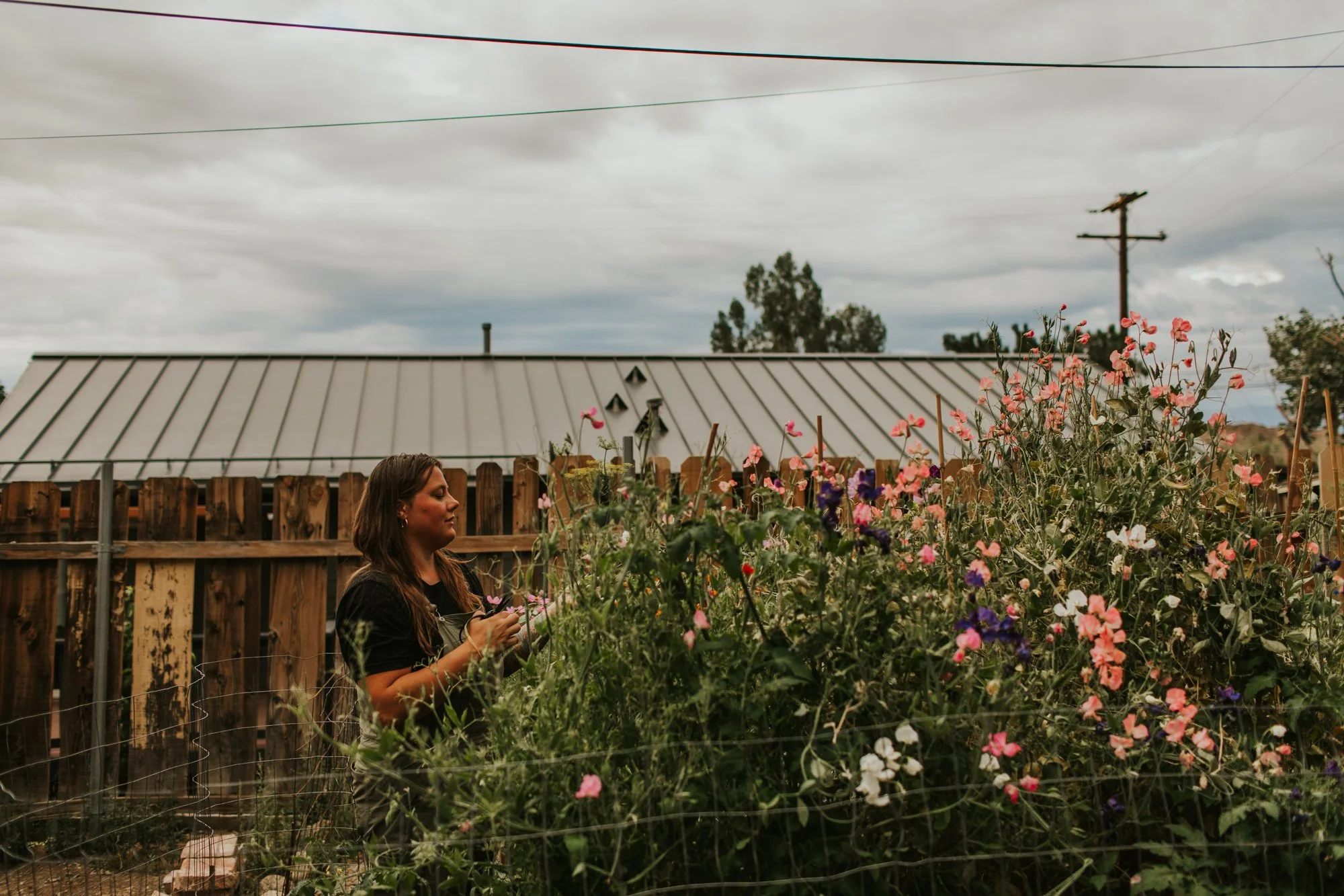 About The Farm — BAD DOG FARMS