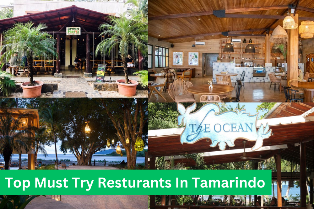 Top Must Try Restaurants In Tamarindo — nikorilifestyles