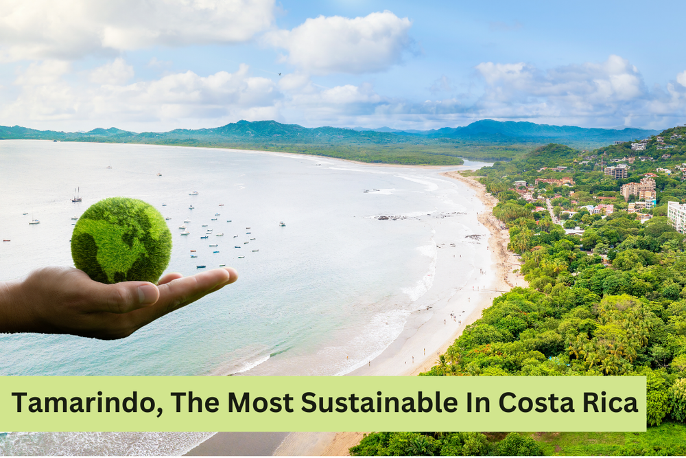 Tamarindo, The Most Sustainable In Costa Rica — nikorilifestyles