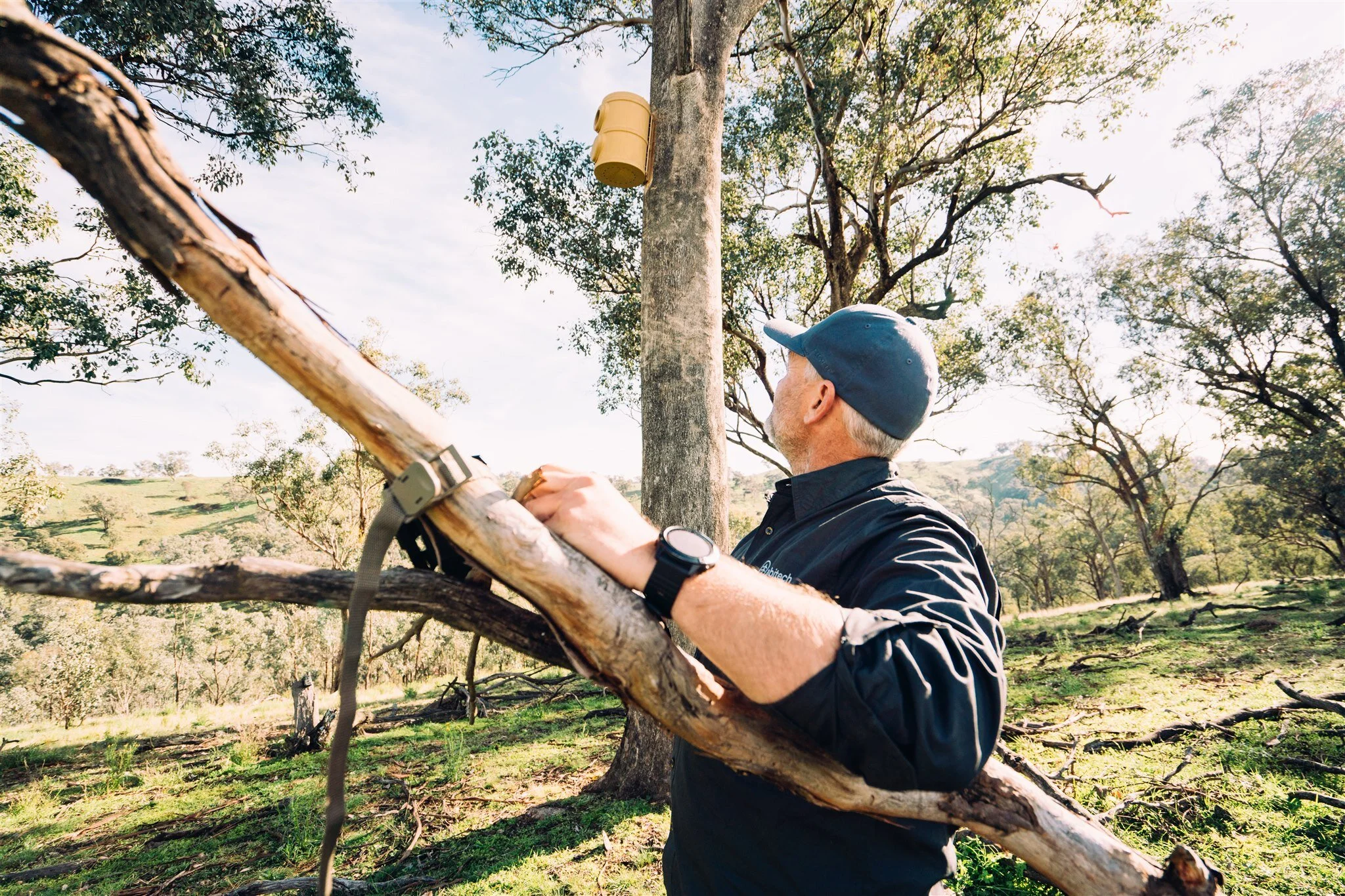 Habitech Nest Boxes — Habitat Innovation & Management