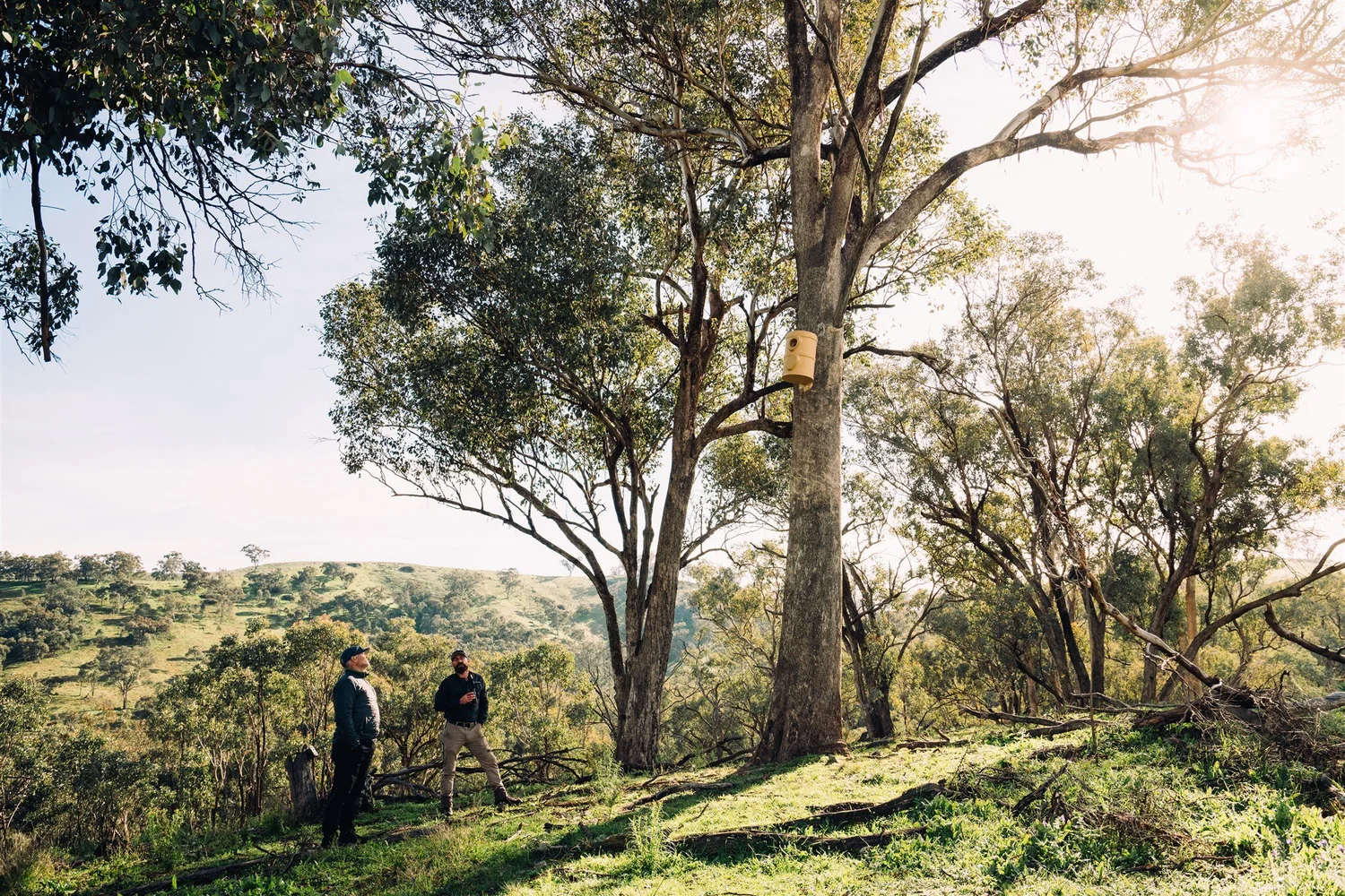 Habitat Modular Nest Boxes — Habitat Innovation & Management