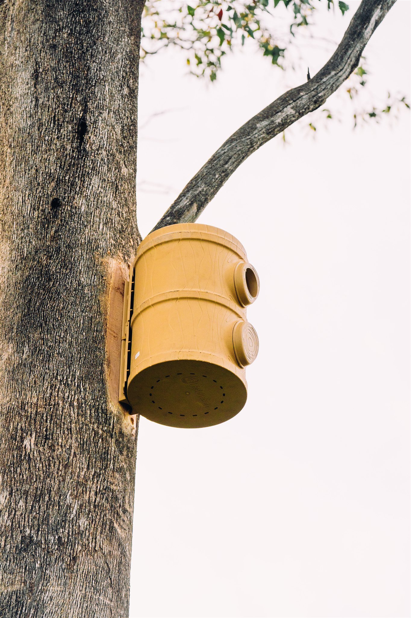 Habitat Innovation & Management | Ecological and Biodiversity ...