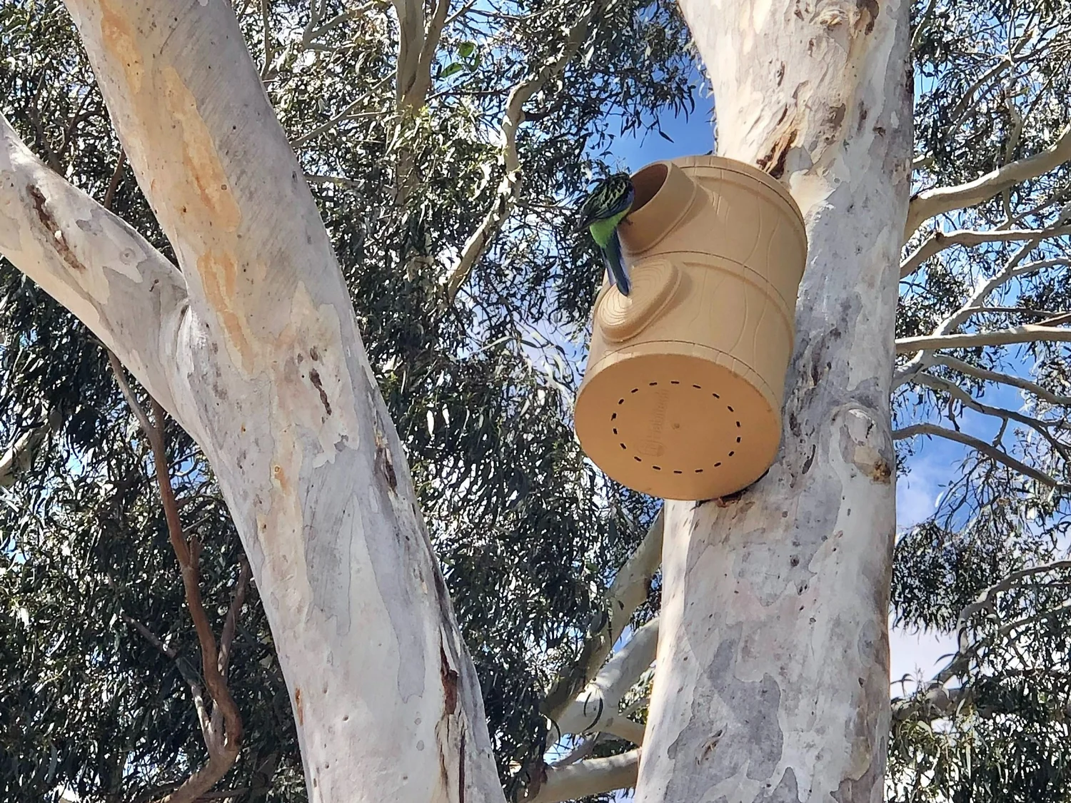 Habitat Nest Boxes — Habitat Innovation & Management