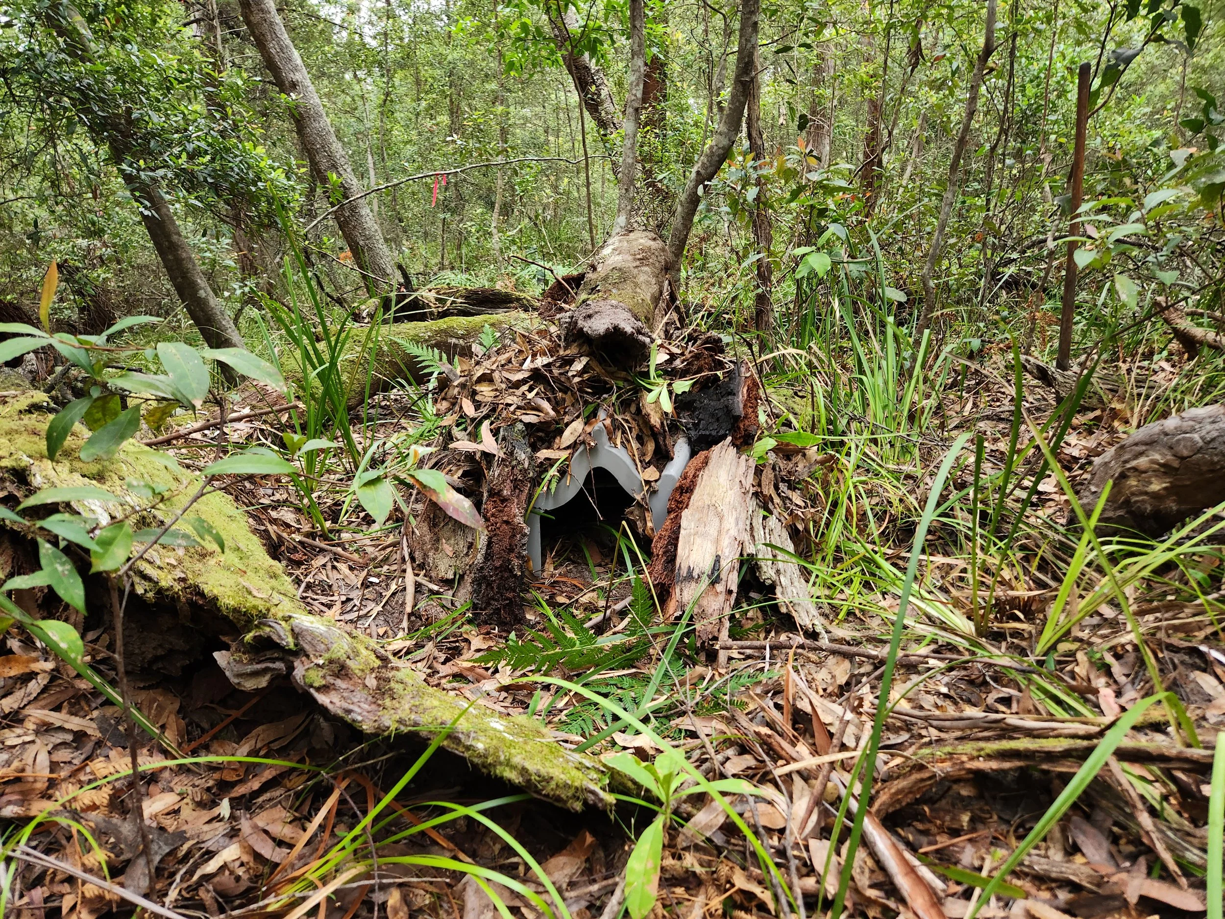 Habitat Marsupial Dens — Habitat Innovation & Management