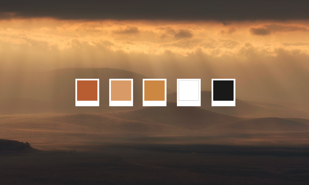 12 Inspiring Colour Palettes with Unsplash Collections — Backyard ...