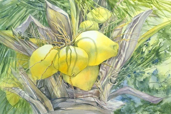 Gail White — Art Center Sarasota