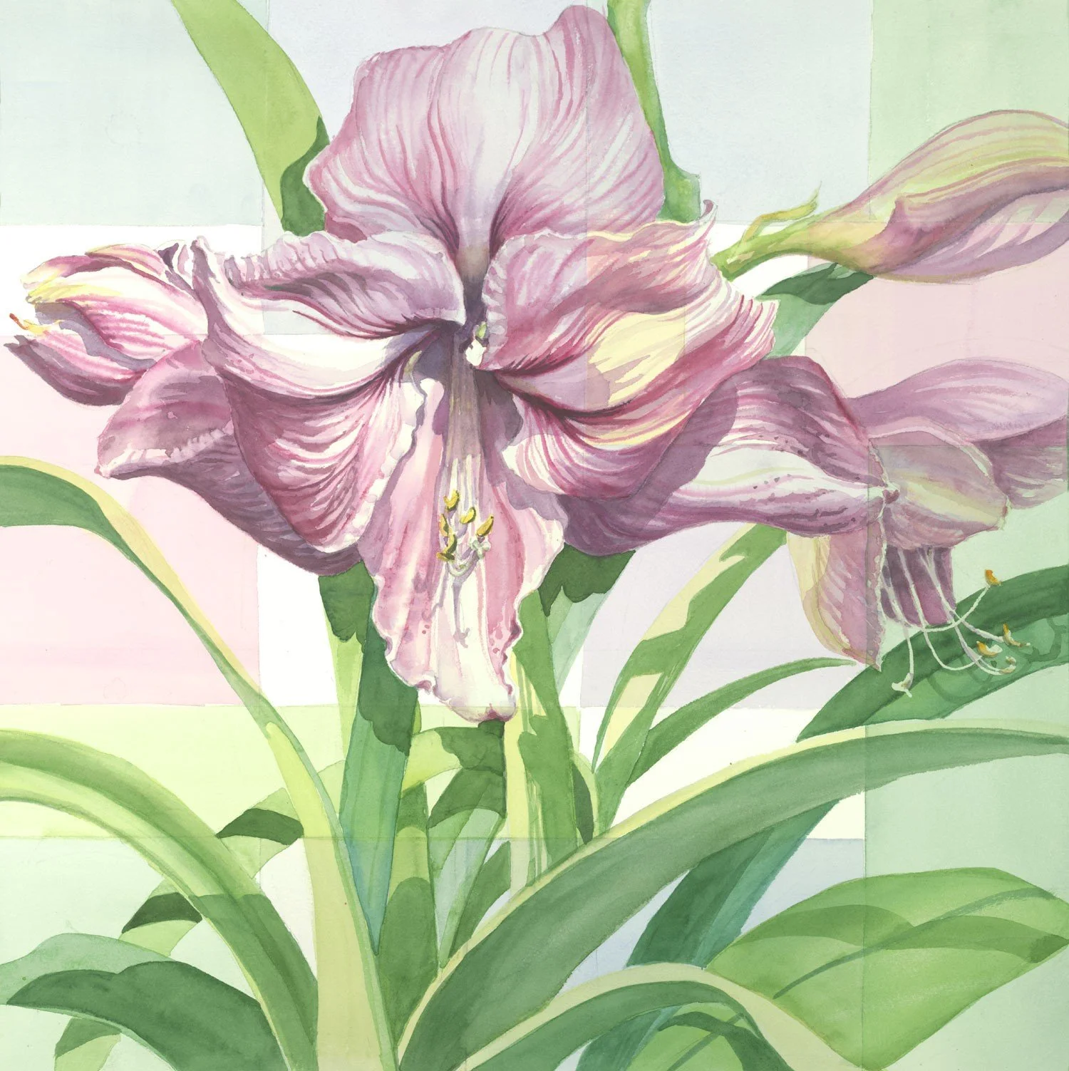 Gail White — Art Center Sarasota