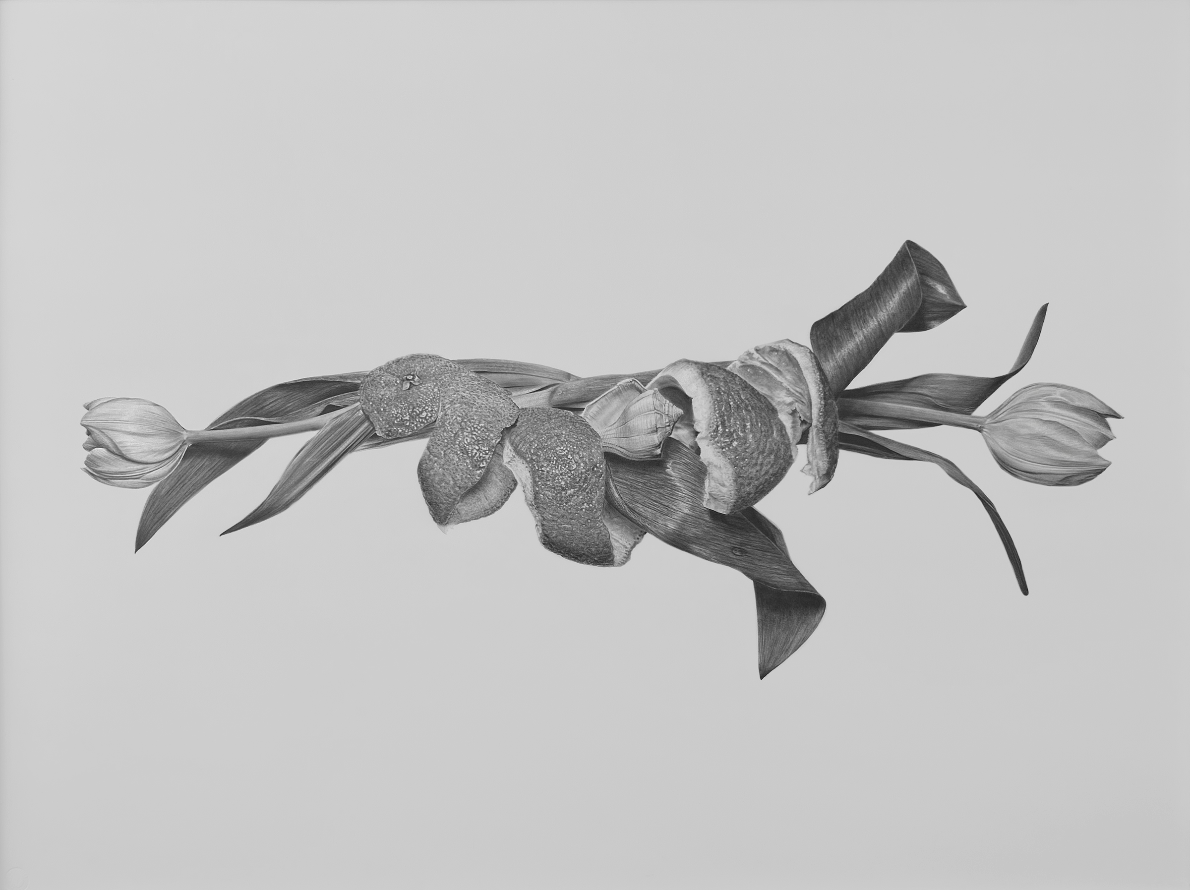 On View — Art Center Sarasota