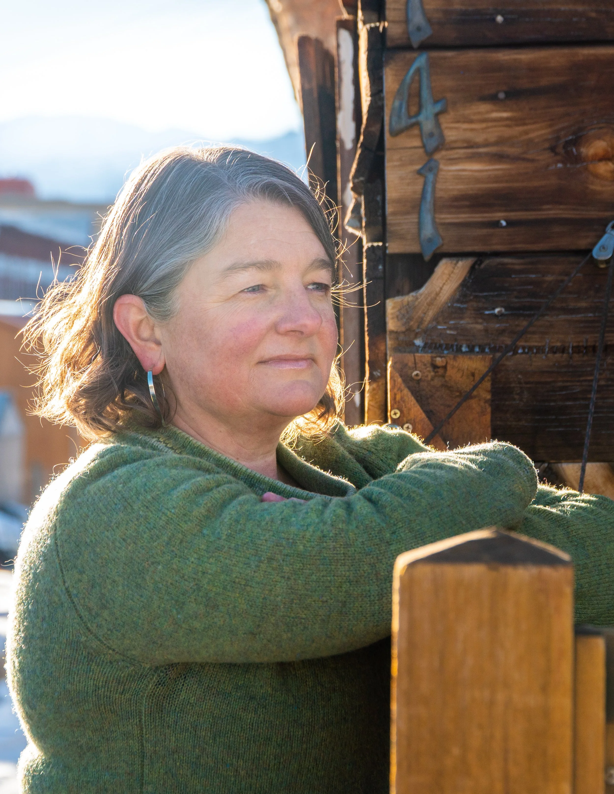 Amy Frykholm — Wendy Levinson / Literary Agent