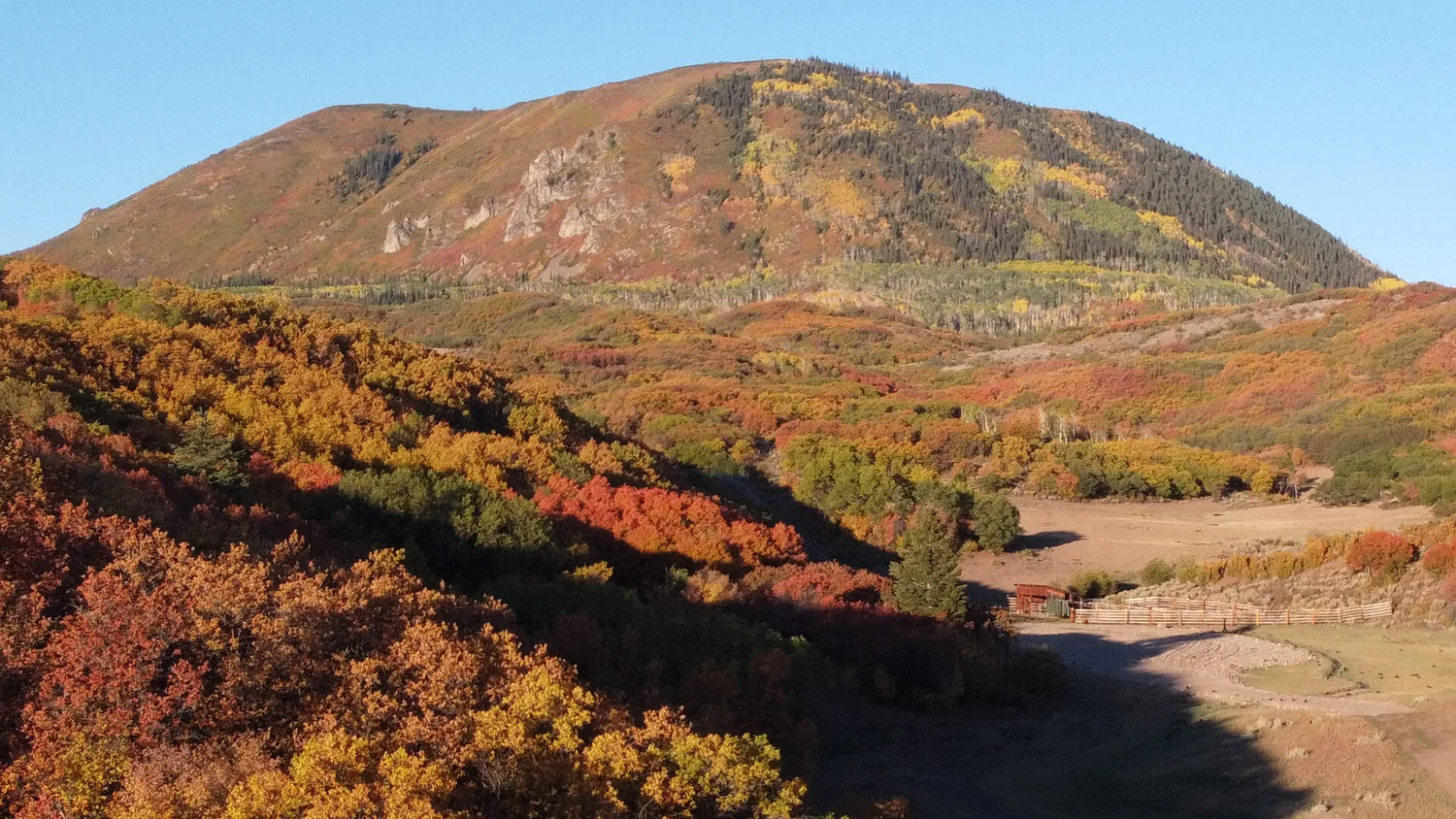 Steamboat Springs Elk Hunting: Solitude Outfitters And Guides