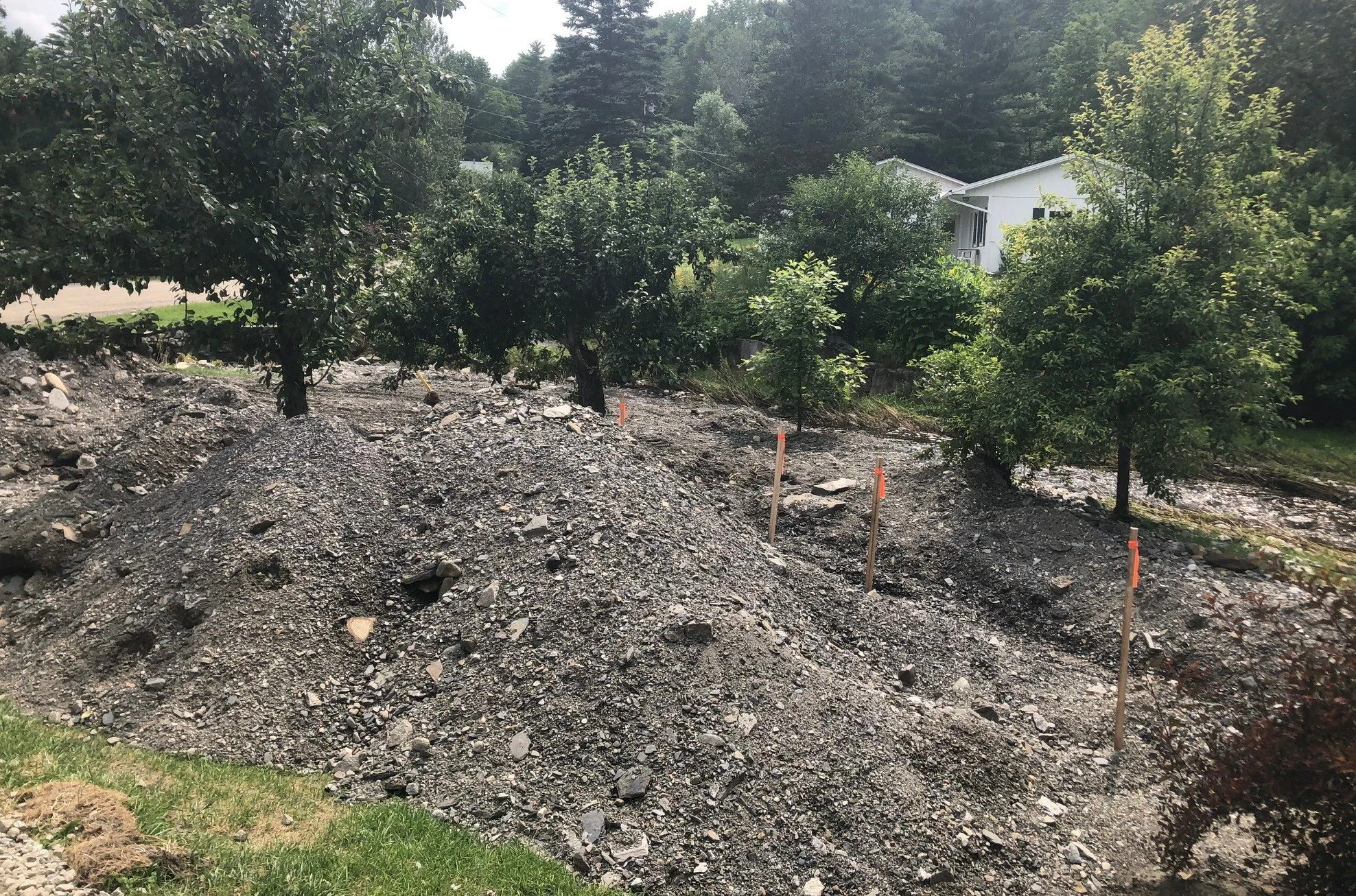 Adamant Village — The Adamant Cooperative