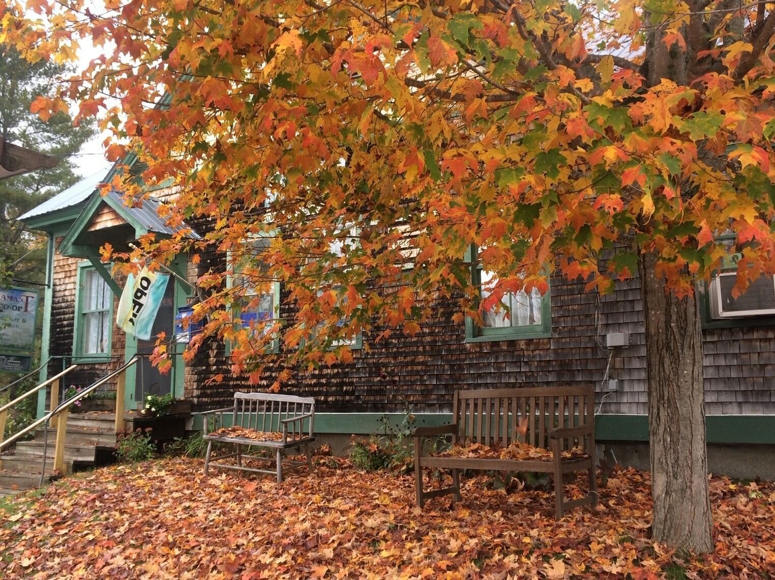 The Adamant Cooperative