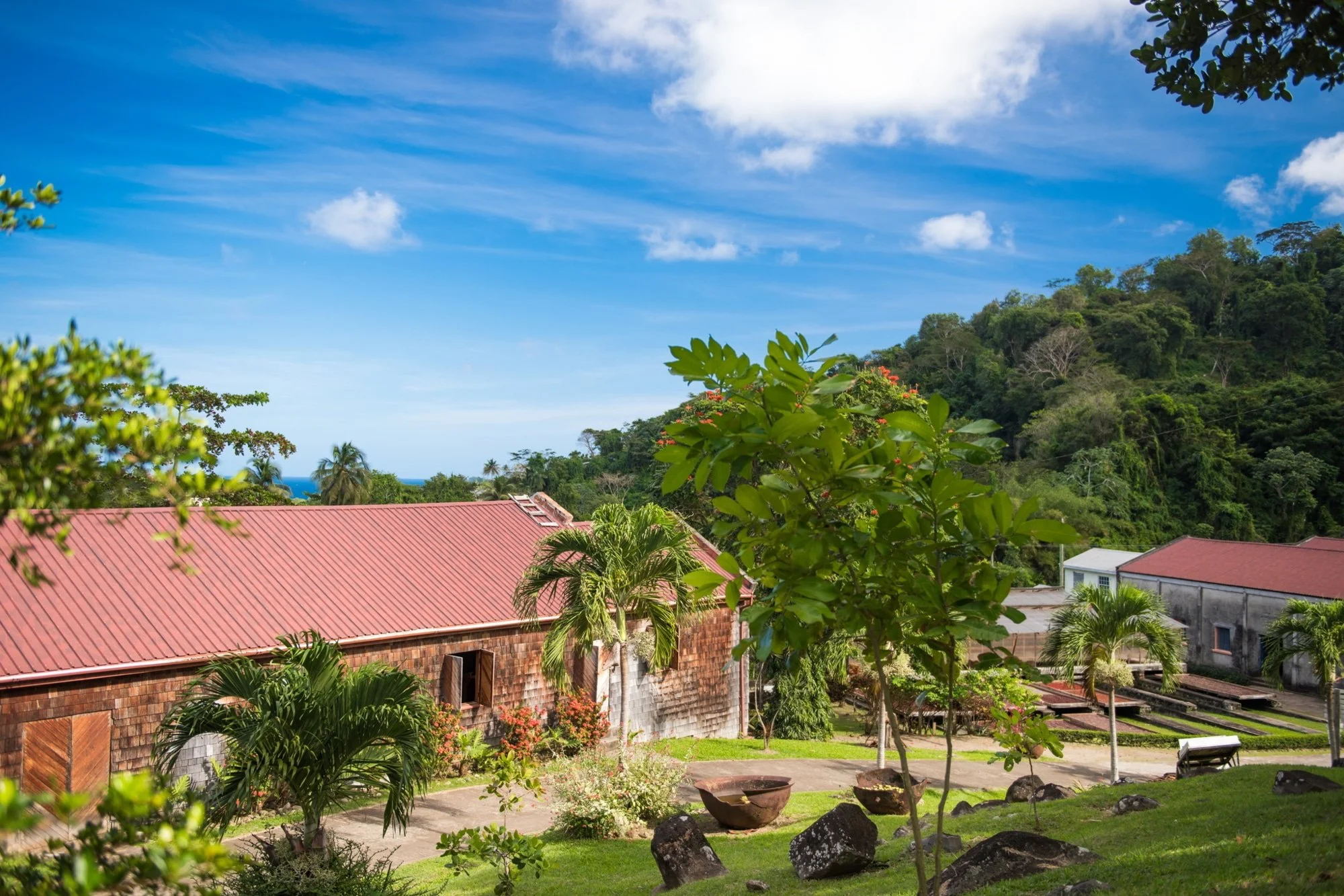 Bean to Bar Chocolate in Grenada | The Chocolate Professor