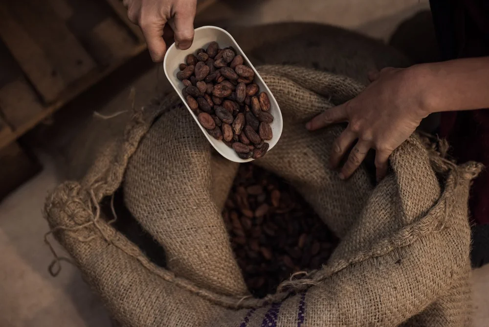 Fair Trade Cacao Comes to Ireland | The Chocolate Professor