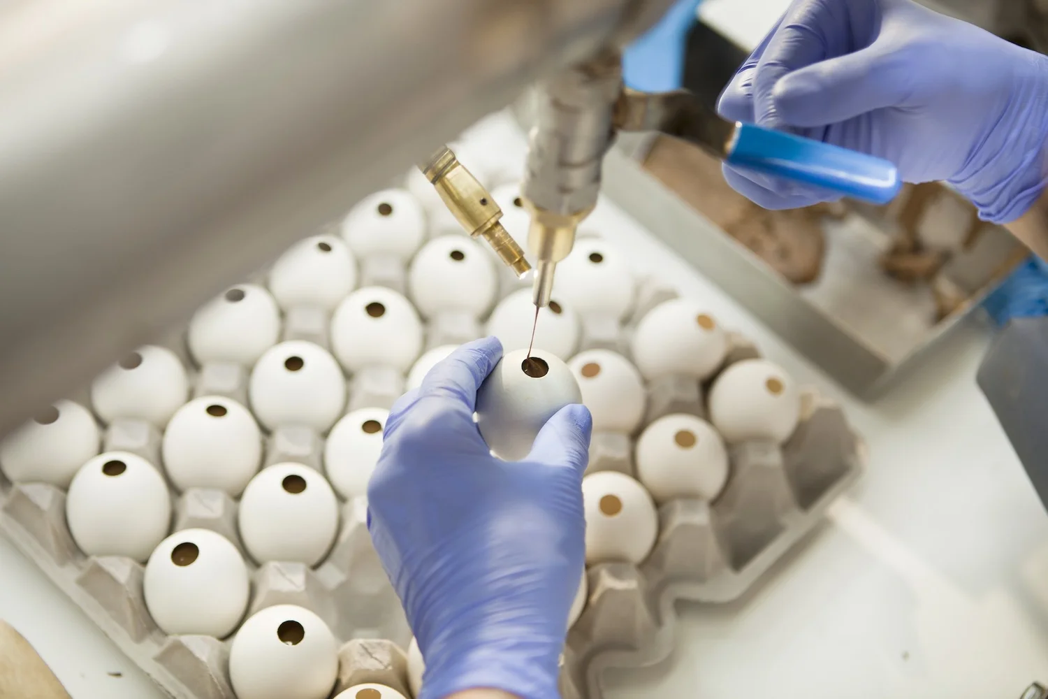 Fazer Mignon Egg is a Finnish Easter Surprise | The Chocolate Professor