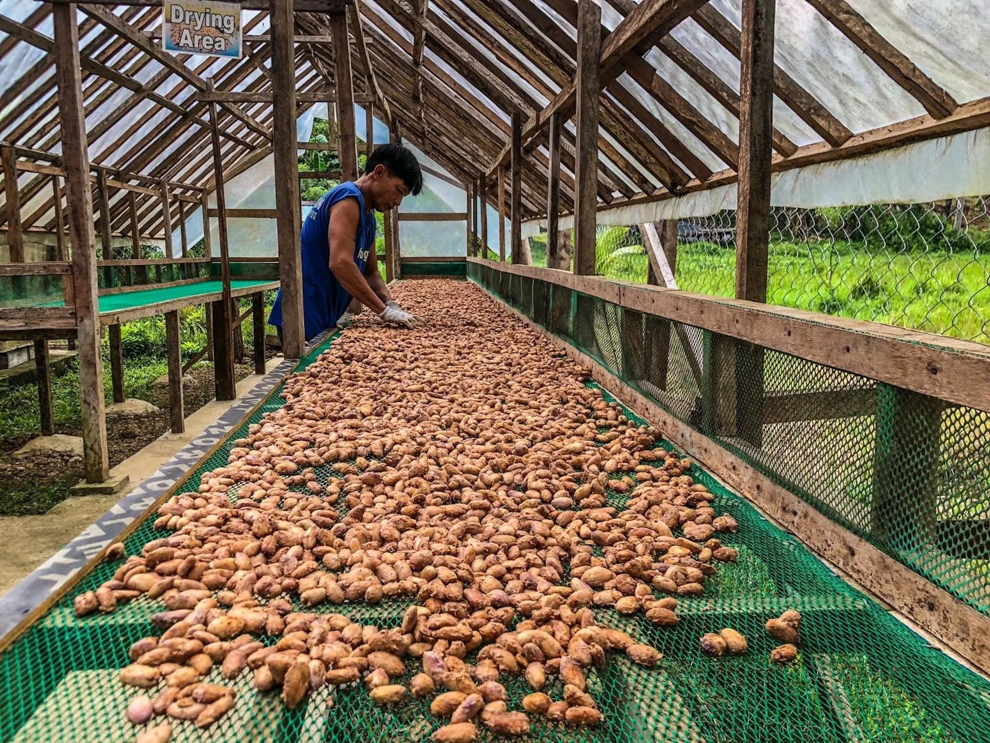 Chocs 'N Boxes: Tree to Bar Chocolate from the Philippines | The ...