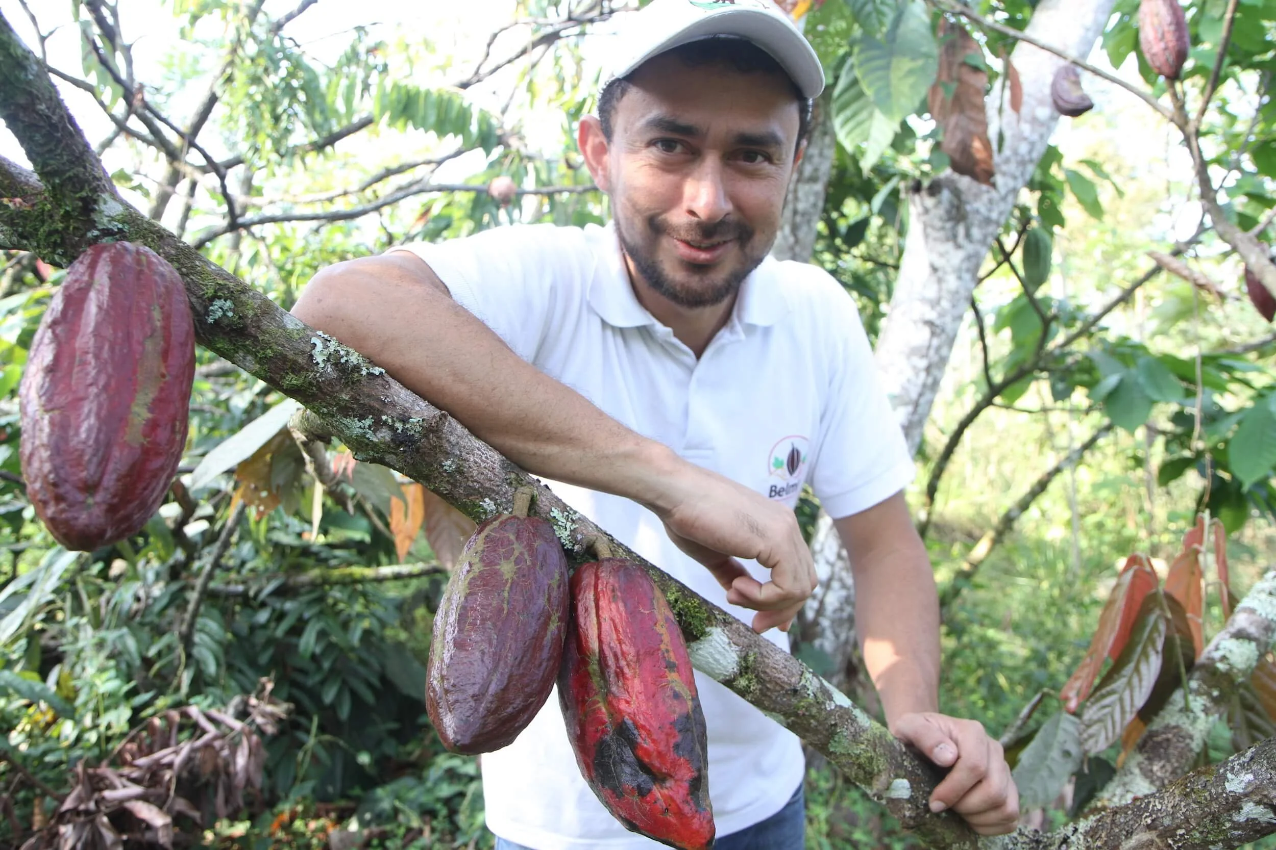 Milwaukee’s Tabal Chocolate: Supporting Cacao Producers | The Chocolate Professor