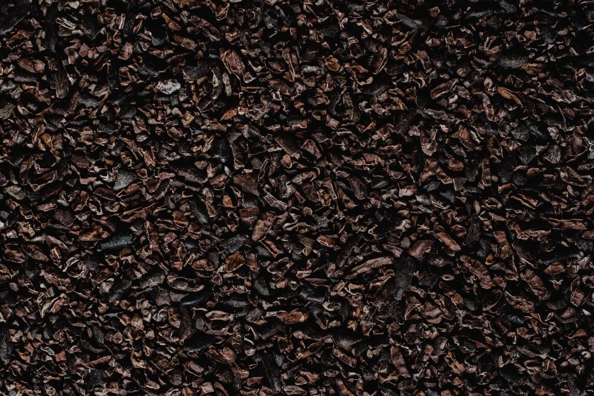 Glossary of Chocolate Terminology: From Bean to Bar & Beyond | The ...