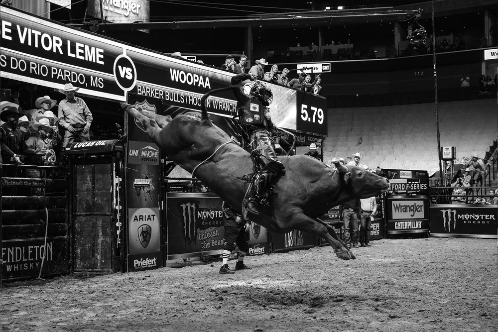 Trainers and Partners — Woopaa