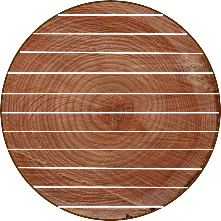 Types of Sawn Lumber - Wood Essentials — Keaton Beyer Woodworking
