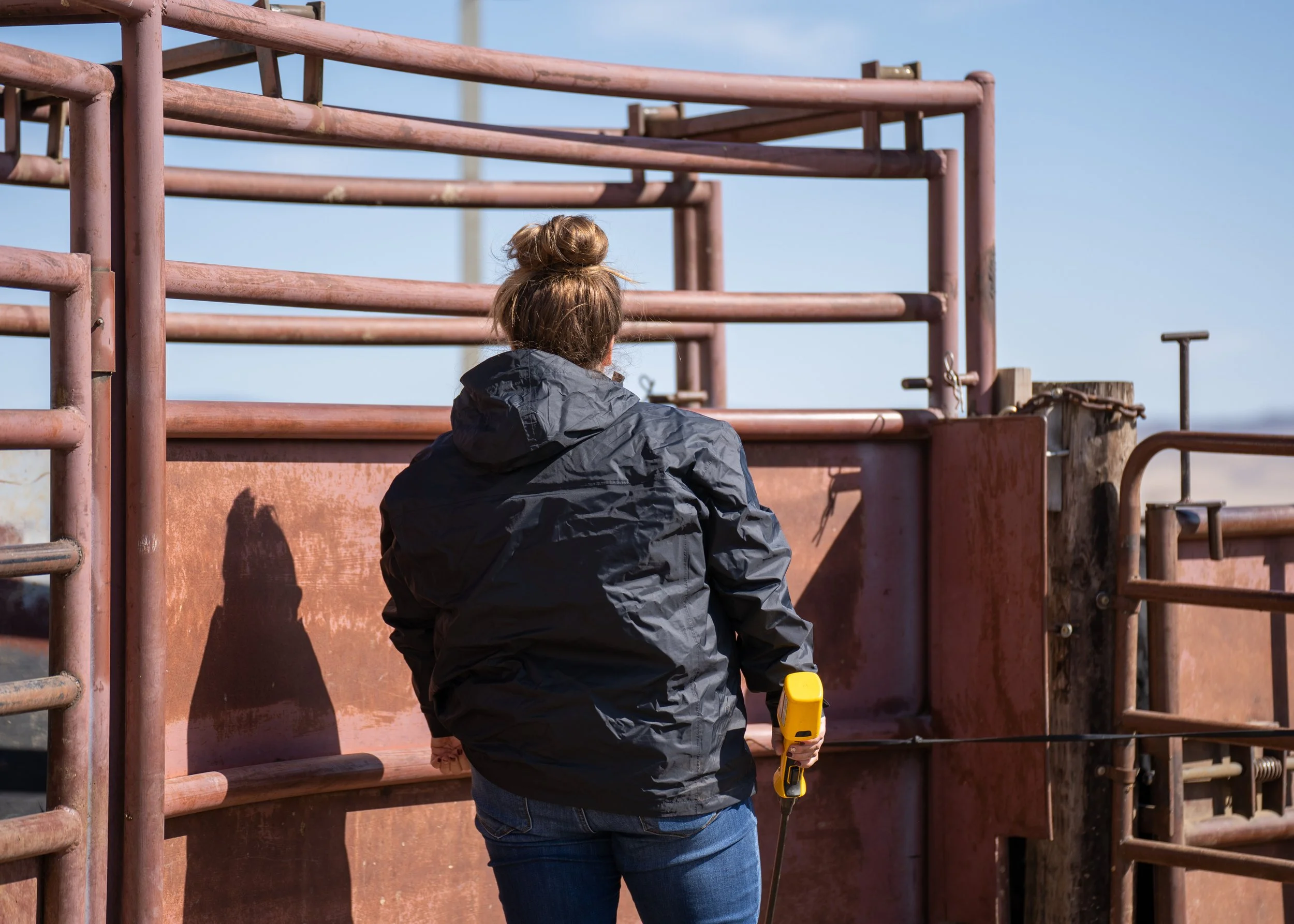 Join The Membership Waitlist — Cattleman U