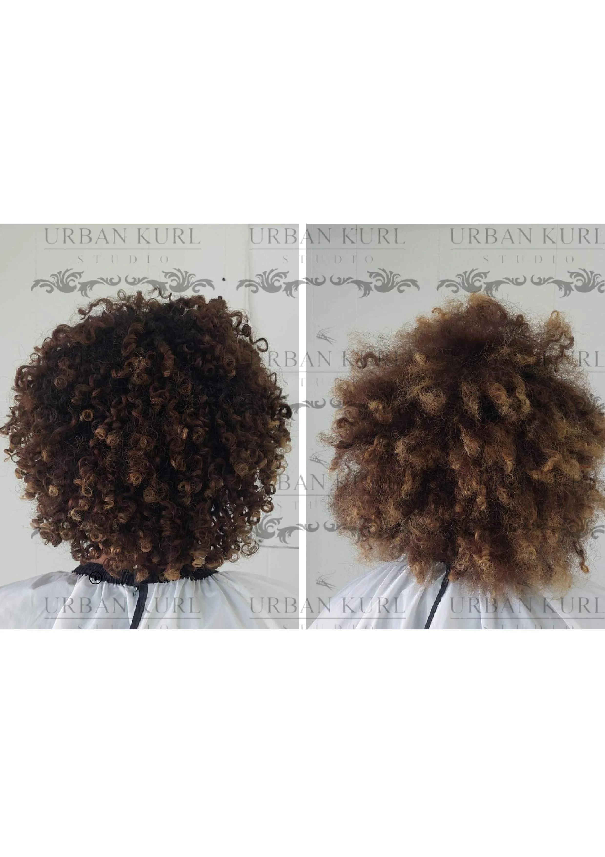 Our Clients —Urban Kurl Studio Home Urban Kurl Studio Urban Kurl Studio