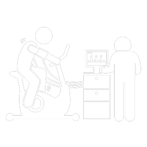 Perth Physio | West Coast Health and High Performance